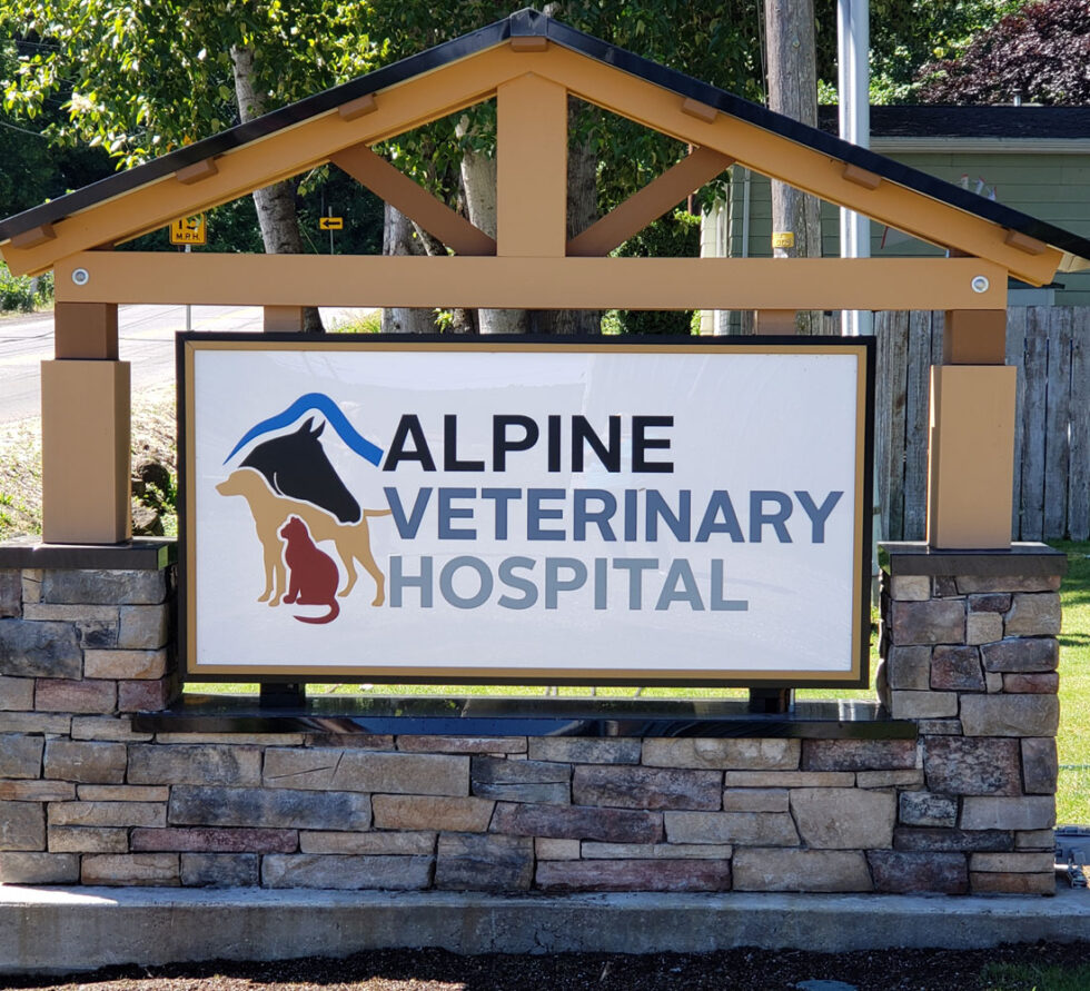 Best Vet Hospital In Hood River, OR | Alpine Vet Hospital