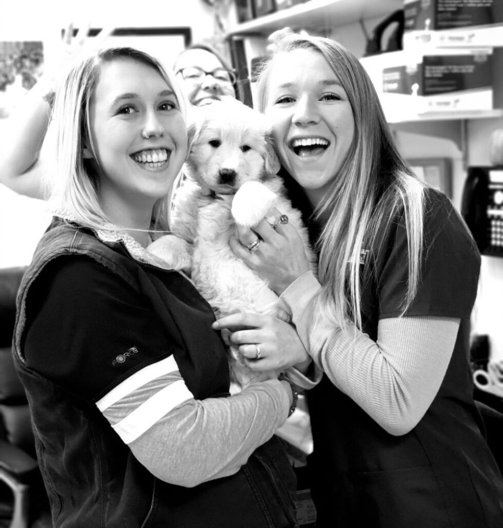 About Alpine Veterinary Hospital | Vet In Hood River, OR